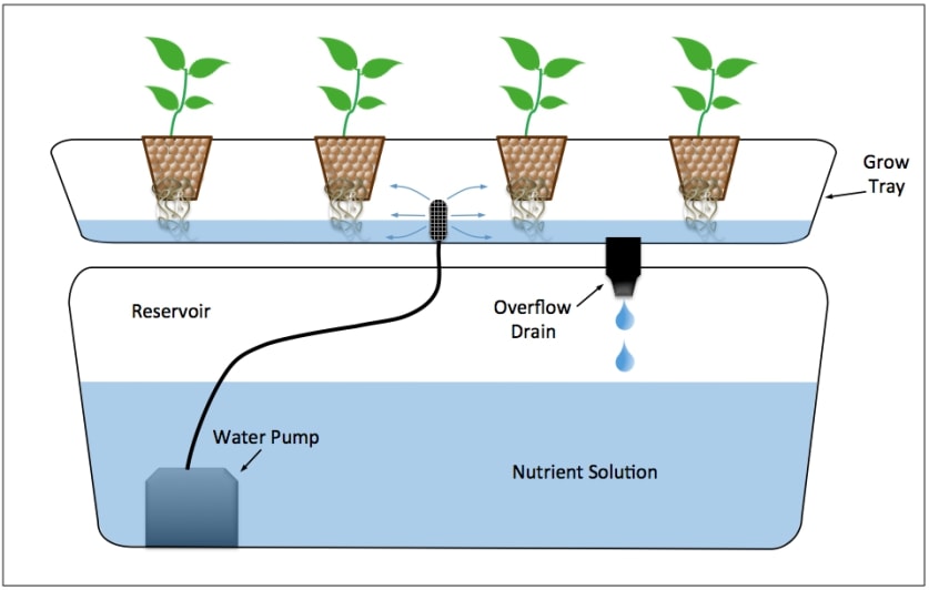 Hydroponic Farming | Deejos Engineers