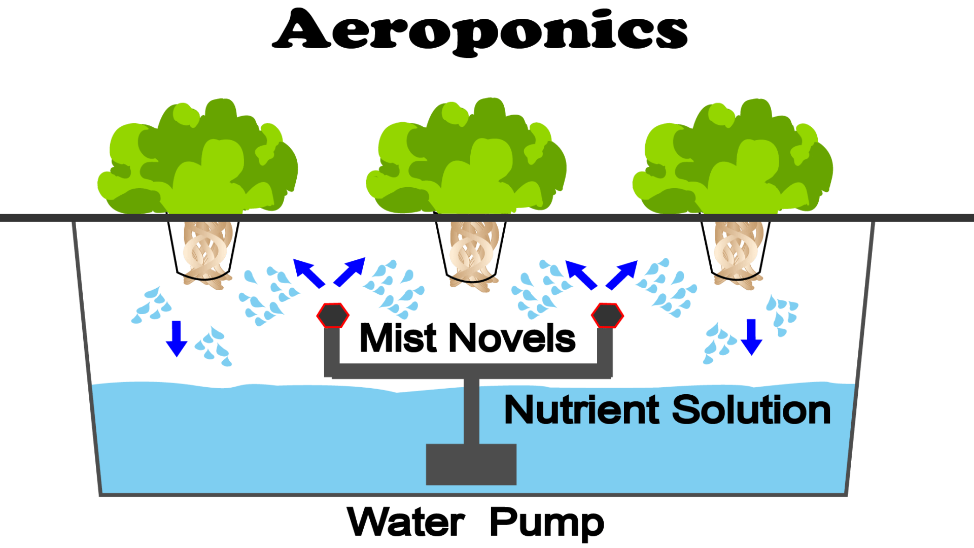 Hydroponic Farming | Deejos Engineers