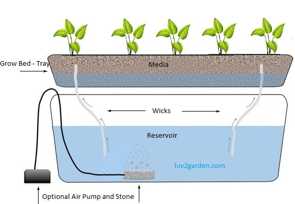 Hydroponic Farming | Deejos Engineers