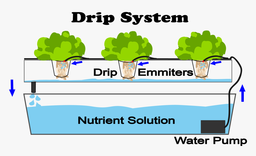Hydroponic Farming | Deejos Engineers