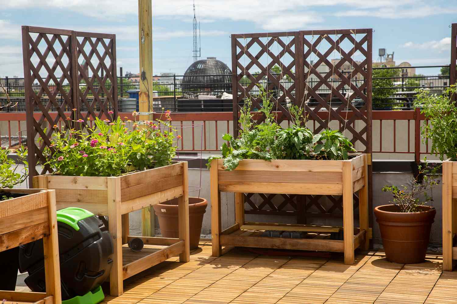 Rooftop Gardens for Home Terraces in South India: Sustainable Gardening ...